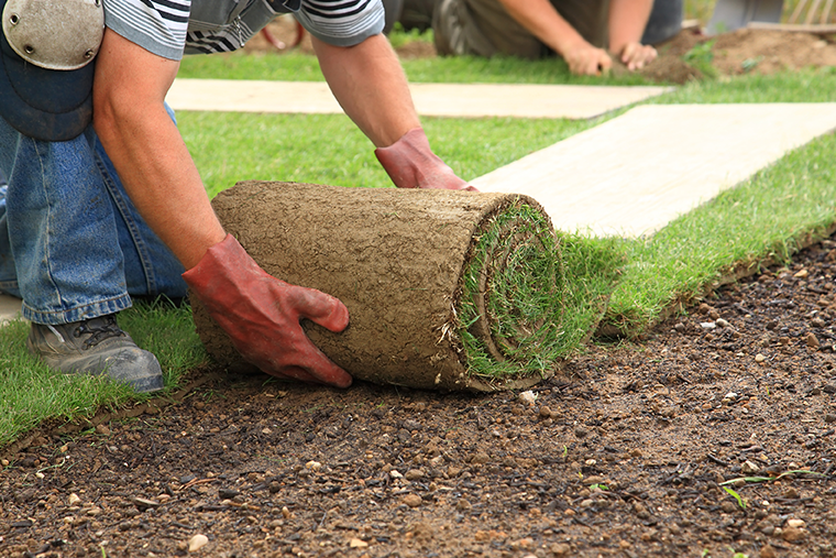 Landscaping London | Professional Landscaping Services Near Me
